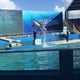Miami Seaquarium - Virginia Key - 4400 Rickenbacker Cswy