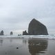 Haystack Rock - Scenic Lookout