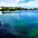 Bermuda Aquarium, Museum and Zoo - Zoo